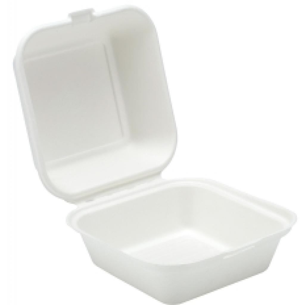 Compostable - Bagasse Containers Boxes | Thali Outlet