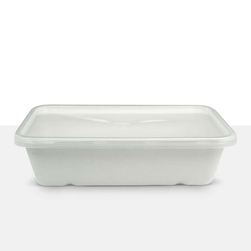 Compostable - Bagasse Containers Boxes | Thali Outlet